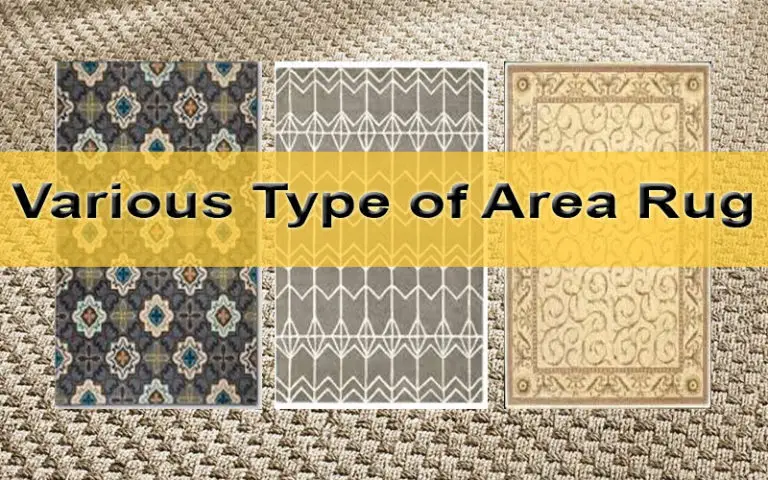 Make Attractive Your Space with Various Type of Area Rugs